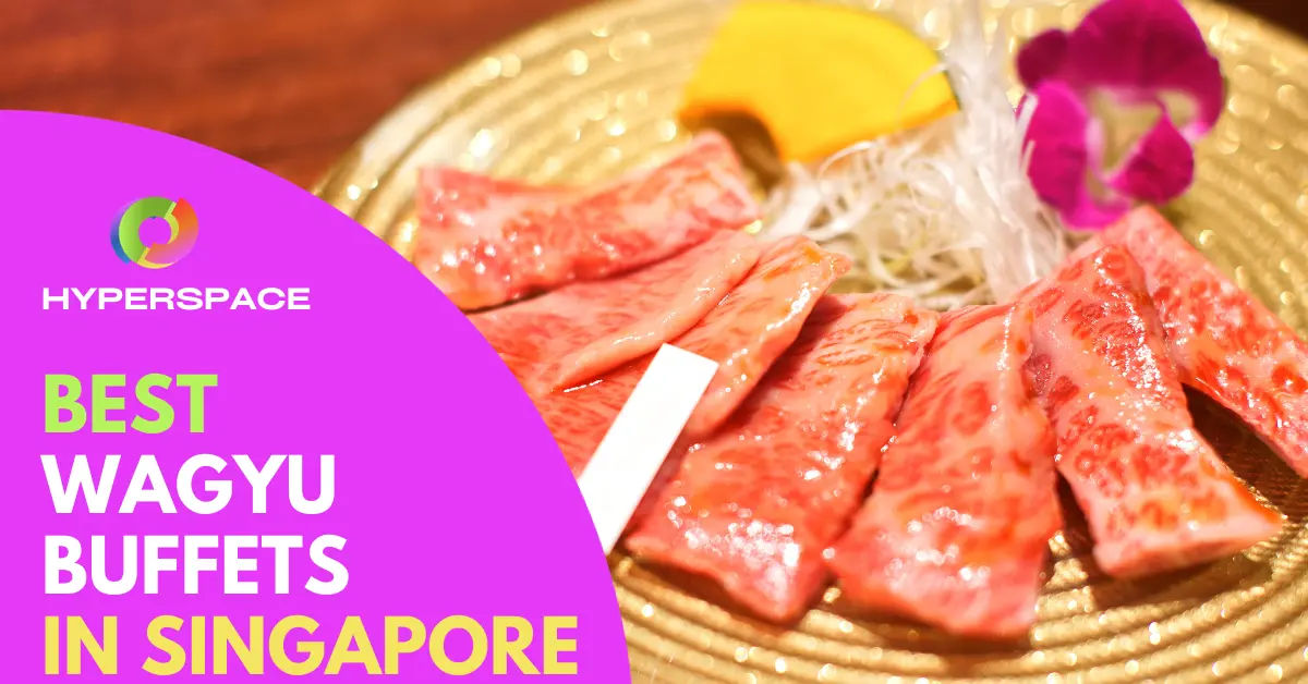 8 Best Wagyu Buffets In Singapore [2024] - Hyperspace Singapore